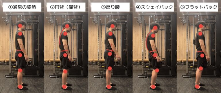 姿勢の4タイプを徹底解説！猫背、反り腰、スウェイバック、フラットバックの特徴と改善方法 エターナルフィット厚別 ｜川下・北郷・大麻