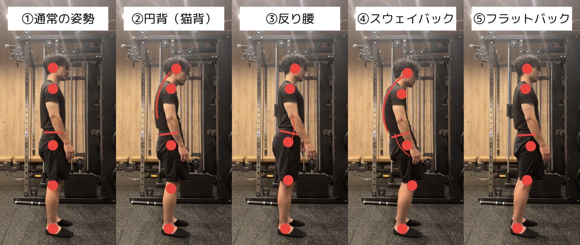 姿勢の4タイプを徹底解説！猫背、反り腰、スウェイバック、フラットバックの特徴と改善方法 エターナルフィット厚別 ｜川下・北郷・大麻